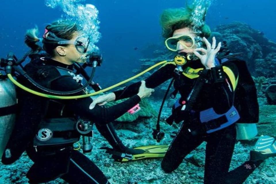 Daily Diving in Hurghada | Explore the Red Sea with DiveNemo