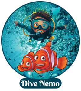 Dive Nemo Hurghada Prices – Intro & PADI Courses & Daily Diving